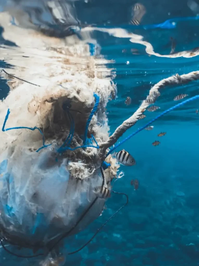 How to avoid Microplastics? Plastics all around and inside you